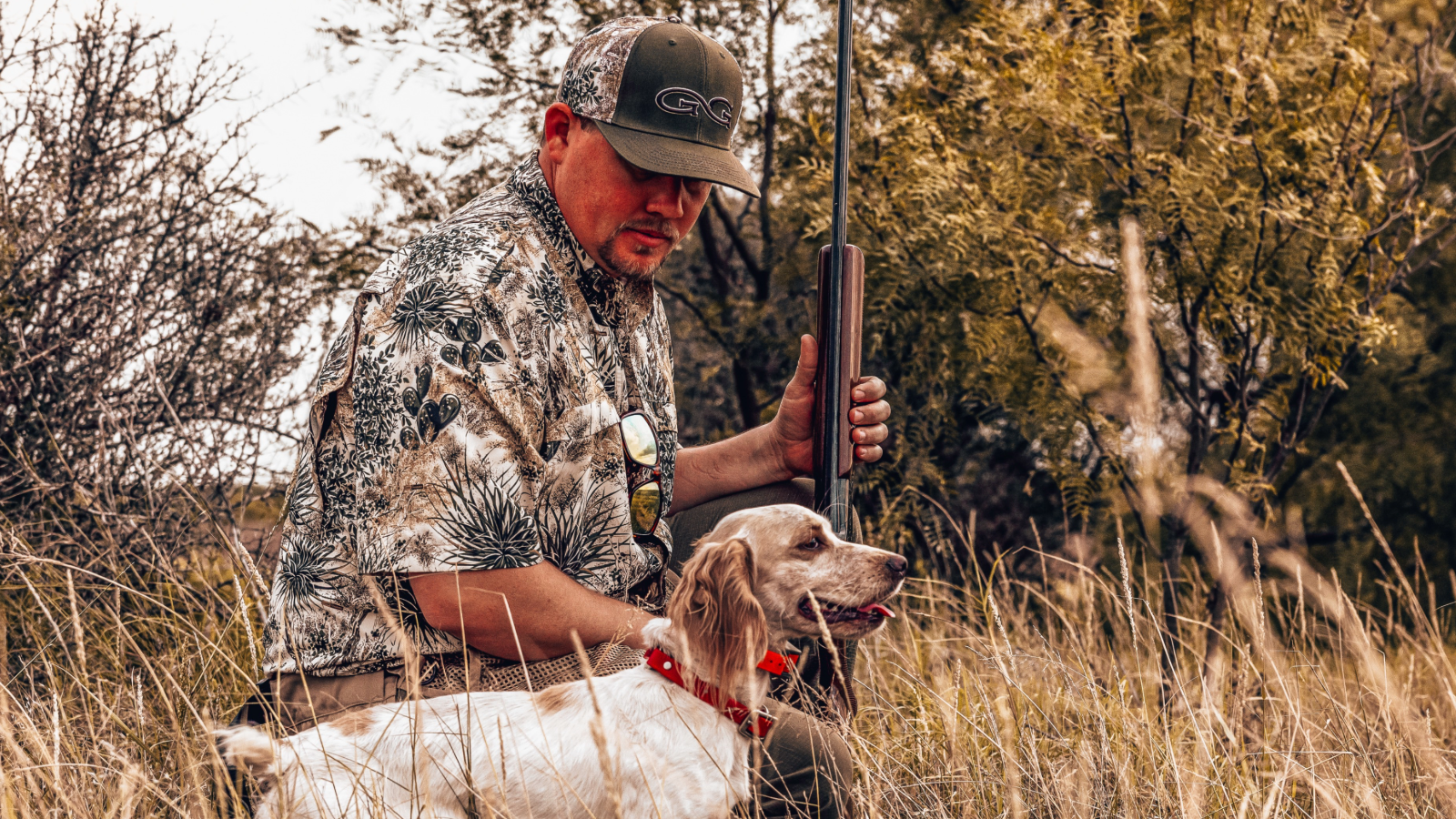 The Essential Guide to Dove Season 2025 – GameGuard
